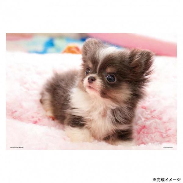 かわいいペットジグソーパズルシリーズ! 生産国:日本 商品サイズ:38×26cm 仕様:ピース数:300ピースパネルNo.031(C)Satoshi Konuma　※サプライヤー直送品　　