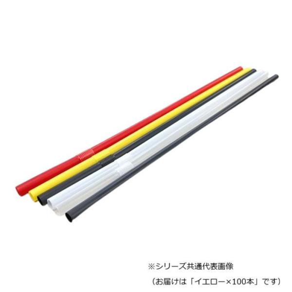 ペットボトルに最適なストローです。 生産国:日本 商品サイズ:直径6×250mm セット内容:100本　※サプライヤー直送品　　