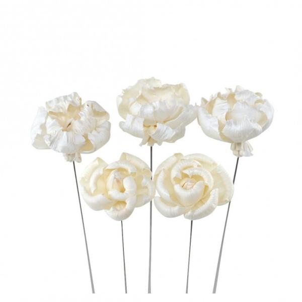 100%天然のソラの木を使用した淡い色合いのクラフトフラワーです。 生産国:日本 素材・材質:ソラフラワー・ワイヤー 商品サイズ:(約)奥行40×高さ40×幅380mm 重量:1本当:2g セット内容:1束/5本　※サプライヤー直送品　　