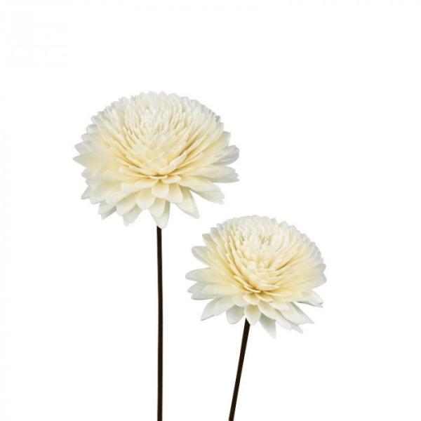 100%天然のソラの木を使用した淡い色合いのクラフトフラワーです。 生産国:日本 素材・材質:ソラフラワー・ワイヤー 商品サイズ:(約)奥行60×幅60×高さ450mm 重量:1本当:6.6g セット内容:1束/2本　※サプライヤー直送品　　