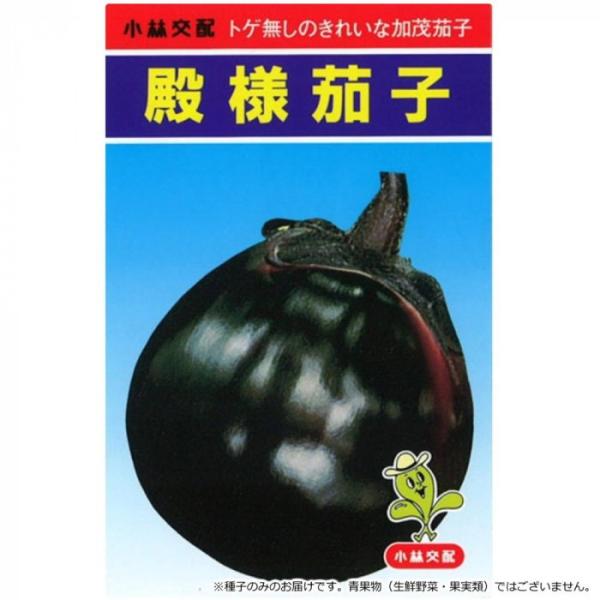 果実は極早生、大果、光沢ある黒紫色で、果皮表面の凹凸が少ないのが特徴です。果形は、正円形で果梗も太く、花落は小さくきれいです。収量が多く、収穫は果実の直径が6~10cm位までと用途に応じて幅広く収穫できます。草姿は、中葉、中茎で、2~4本仕...