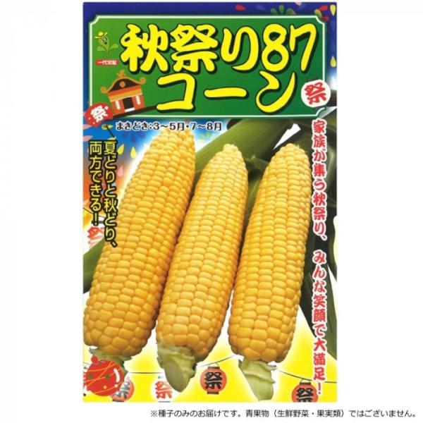 粒がきれいに並び先端までボリュームたっぷりの実入りです。可食部が最大化されています。皮が柔らかく、甘みも強いのが特長です。草姿は中勢で草丈は240cm程度になります。根張りが良いので倒伏には強いタイプです。直播で87日で収穫できます。一般的...
