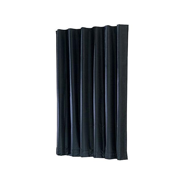 740564 浅沼商会 74056 暗室 品 ダークカーテン DL 1×2m