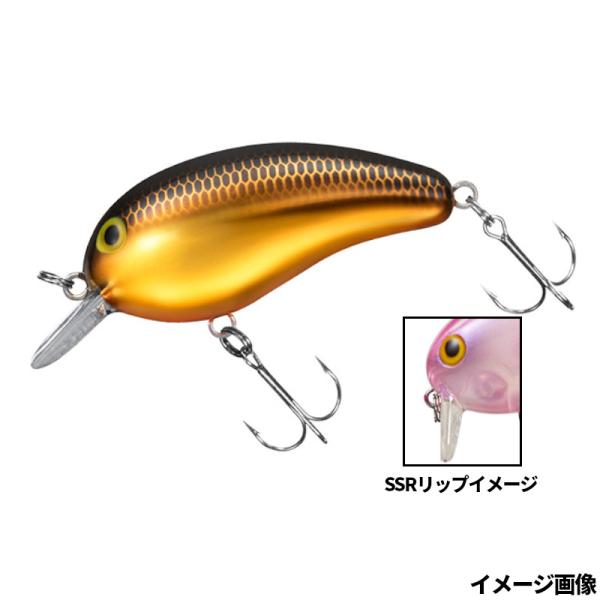 ダイワ  ●カラー:クロキン ●サイズ:SSR ●全長:50mm ●自重:8.6g ●レンジ:0.5m ●フック:#6 ●リング:#2 ●代表対象魚:ブラックバス|日本全国、バスプロからビギナーの方まで幅広く愛用されている国民的クランクベイ...