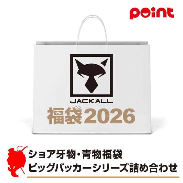|【セット内容】ジャッカル ビッグバッカー 128 超UVシルバージャッカル ビッグバッカー 107 鰤カスタム(アルミカラー) アルミイワシジャッカル ビッグバッカー E-ブレード 30gジャッカル ビッグバッカー E-ブレード W 40...