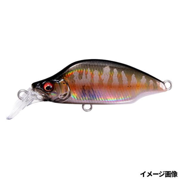 メガバス  ●カラー:LZ オータムハレーション ●全長:44mm ●自重:6.1g ●タイプ:FAST SINKING ●フック:#12×2 ●釣り方、フィールド:淡水ルアー ●代表対象魚:トラウト（鱒）|【メガバス/Megabass】G...