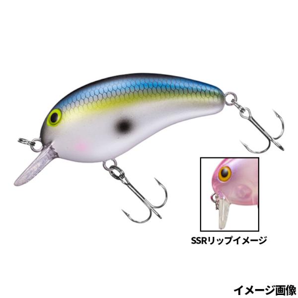 ダイワ  ●カラー:セクシーシャッド ●サイズ:SSR ●全長:50mm ●自重:8.6g ●レンジ:0.5m ●フック:#6 ●リング:#2 ●釣り方、フィールド:淡水ルアー ●代表対象魚:ブラックバス|日本全国、バスプロからビギナーの方...