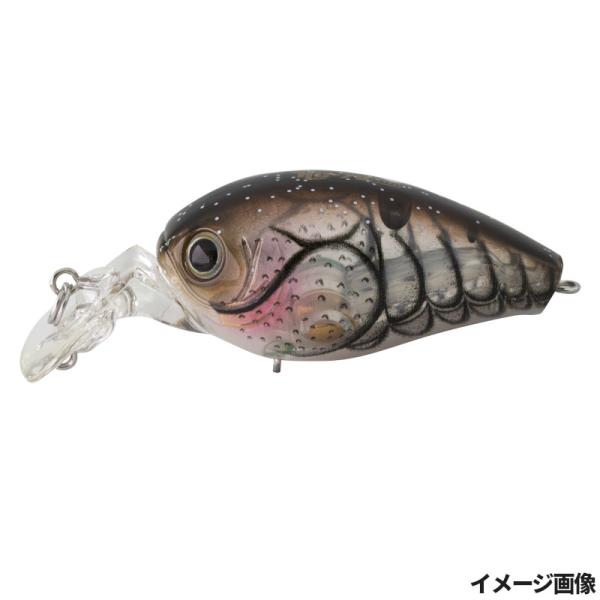 【アウトレット品の注意事項】●別注文との同梱・内容変更・キャンセル・お客様都合での返品交換はできません。●展示品の為、商品・パッケージにご利用に差し支えない程度のキズ・汚れ・色焼けなどがある場合、パッケージ・保証書の無い場合もございます。状...