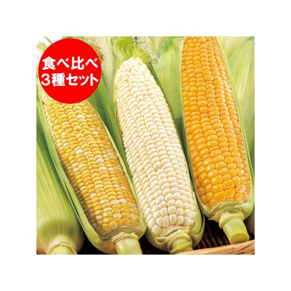 名称：黄色い とうもろこし ( ドルチェドリーム / ゴールドラッシュ )白い とうもろこし ( ホイップコーン )内容量：・ホイップコーン 3本・ドルチェドリーム 4本・ゴールドラッシュ 3本産地：とうもろこし 北海道 剣淵産賞味期限：北...