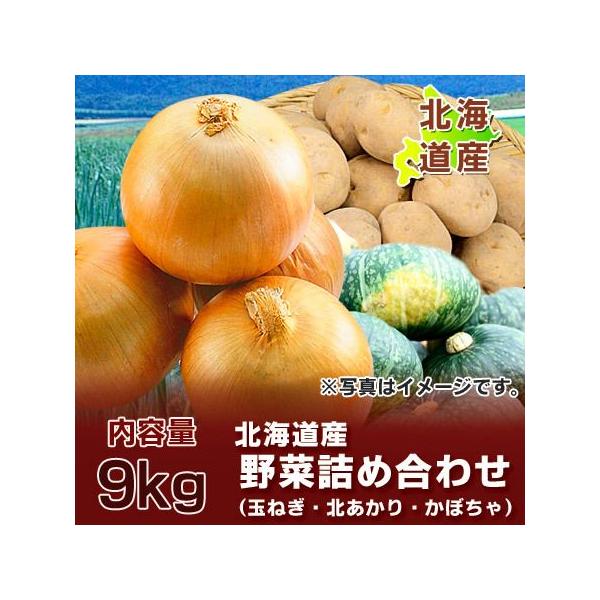 名称：野菜 北あかり / 玉ねぎ / かぼちゃ内容量：北海道 きたあかり Lサイズ / たまねぎ Lサイズ / 南瓜 1玉おまかせ 約9kg ( 9キロ )(箱含む総重量)(箱入)※かぼちゃの品種は、季節によって異なります。保存方法：野菜セ...