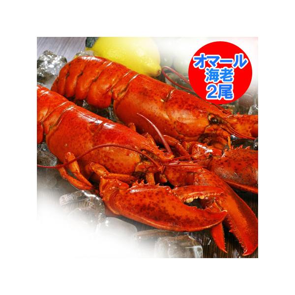 名称：オマール海老 / オマールエビ内容量：オマール海老 ボイル 2尾 ( 350 g前後×2 )保存方法：ロブスター 冷凍配送区分：オマール海老 冷凍 送料無料送料：オマールエビ 送料無料・送料込み発送元：北海道 ポイント 本舗「 オマー...