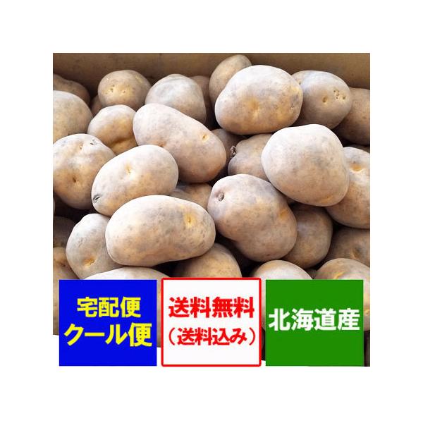 名称：北海道 インカのめざめ じゃがいも内容量：北海道産 じゃがいも インカ 10kg SSサイズ (風袋込み)インカのめざめ の保存方法：( インカのめざめ 特徴 ) インカのめざめ は生命力が強く芽が出やすいので、保管は冷蔵庫に入れて、...