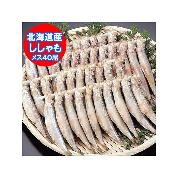 名称：北海道 本ししゃも 子持ちししゃも内容量：北海道産 ししゃも メス 40尾 保存方法：シシャモ は冷凍もしくは冷蔵 本ししゃも は解凍後は冷蔵庫に入れて保管し、必ず加熱してお早めにお召し上がりください。 配送区分：ししゃも 送料無料 ...