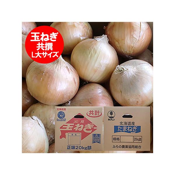 名称：北海道 玉ねぎ 20kg内容量：たまねぎ 20kg 規格：タマネギ L大サイズ保存方法：玉葱 は、直射日光を避け涼しいところで保管して下さい。産地：北海道 富良野産 玉ねぎ,もしくは 北見F1 玉ねぎ配送区分：玉ねぎ 20kg 送料無...