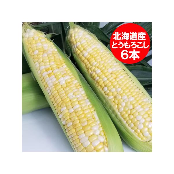 名称：バイカラー とうもろこし ( ドルチェドリーム )内容量：北海道産 とうもろこし 6本入産地：とうもろこし 北海道 剣淵産賞味期限：北海道 とうもろこし は到着後はなるべくお早めにお召し上がり下さい。保存方法：トウモロコシ 冷蔵 保存...