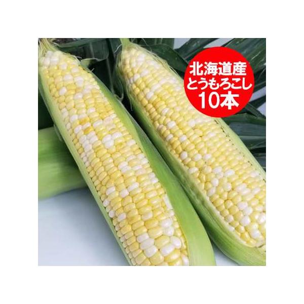 名称：バイカラー とうもろこし ( ドルチェドリーム )内容量：北海道産 とうもろこし 10本入産地：とうもろこし 北海道 剣淵産賞味期限：北海道 とうもろこし は到着後はなるべくお早めにお召し上がり下さい。保存方法：トウモロコシ 冷蔵 保...