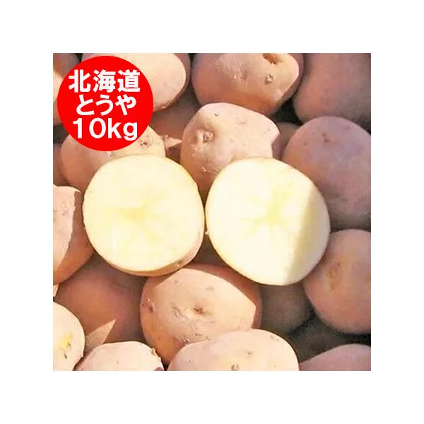 名称：北海道 じゃがいも とうや内容量：とうや じゃがいも 10kg (箱含む総重量)規格：ジャガイモ Lサイズ産地：北海道産 じゃがいも保存方法：北海道 じゃがいも は、ダンボール等に入れ新聞紙などで光が入らないようにして涼しい場所で保管...