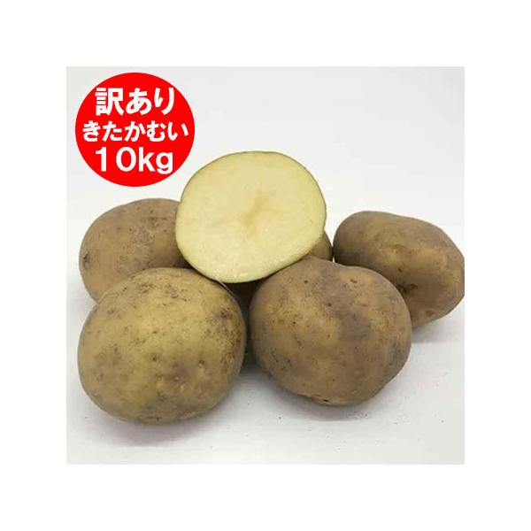 名称： 北海道 じゃがいも きたかむい内容量： キタカムイ じゃがいも 10kg (箱含む総重量)規格：ジャガイモ Mサイズ産地：北海道 上川郡 剣淵町産 じゃがいも保存方法：北海道じゃがいも は、ダンボール等に入れ新聞紙などで光が入らない...