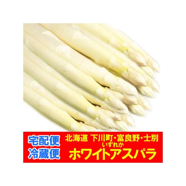 名称：北海道 ホワイトアスパラガス内容量：ホワイトアスパラ 620g規格：ホワイトアスパラ 3L サイズ 〜 2L サイズ保存方法：アスパラ 冷蔵 保存。立てて保存することをお勧め致します。産地：ホワイト アスパラ は 北海道 下川町 / ...