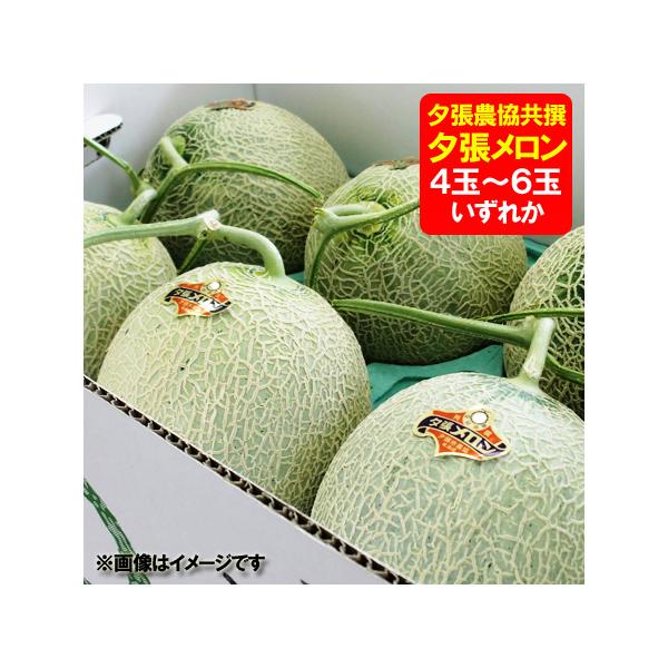 名称： 夕張メロン 訳あり 共撰品内容量： 訳あり 夕張メロン 8kg 1箱 4玉〜6玉入 いずれか規格： 夕張農協共撰 メロン 夕張メロン 良品夕張メロンの保存方法：夕張 メロンは到着後、常温で置いてネットの表面がうっすらと黄色くなりまし...