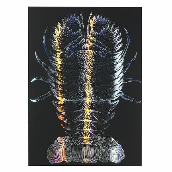 【2個セット】 アーテック ArTec ホログラムスクラッチボードII　１９０×２６５ｍｍ 高品質●品名：アーテック ArTec ホログラムスクラッチボードII　１９０×２６５ｍｍ●サイズ：１９０×２６５×２ｍｍ●材質：紙●セット内容：本体...