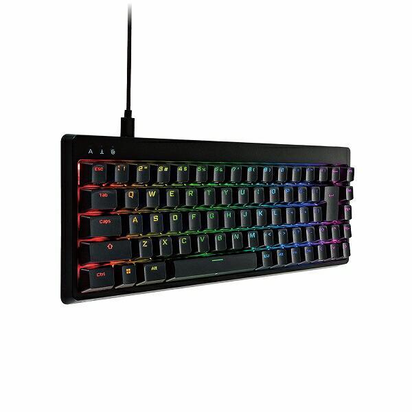 ゲーミングキーボード 【V custom】 有線 着脱式ケーブル RGB メカニカル ( 銀軸 / スピードリニア ) 日本語配列 テンキーレス USB Aポート×1 ブラック