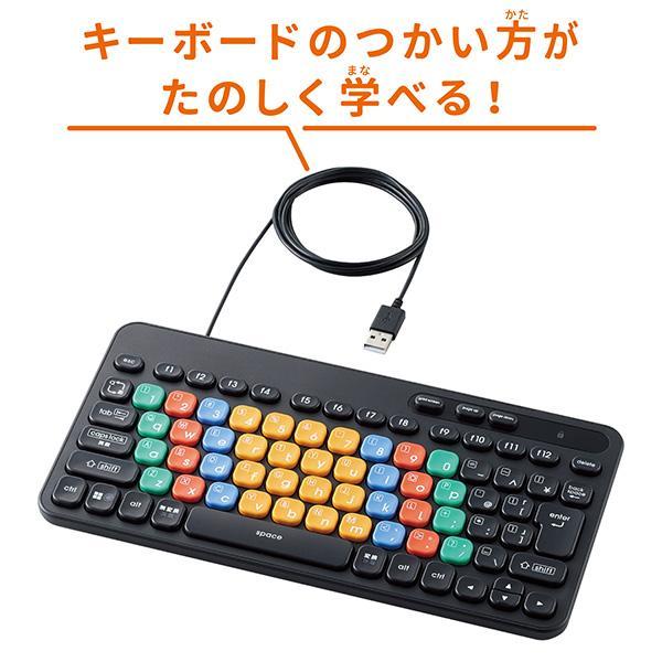 有線キーボード コンパクト カラー キーボード Caps Lock機能無効化スイッチ 【 Windows PC Chromebook 対応 】 抗菌 カードスタンド付 ブラック