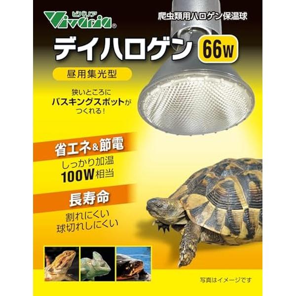 【6個セット】 ビバリア Vivaria 爬虫類用ハロゲン保温球 デイハロゲン 66W●爬虫類用のハロゲン保温球。狭いところにバスキングスポットが作れる、昼用の集光型照射タイプ。