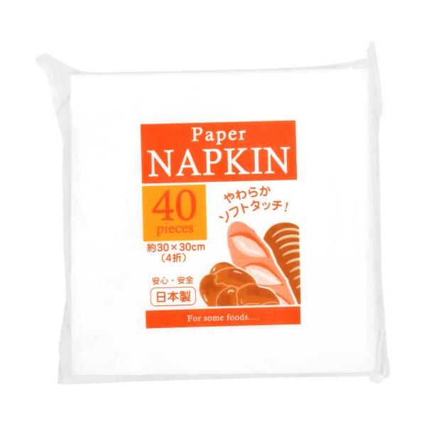 【10個セット】 アートナップ WB-52F ペーパーナプキン30cm 40P