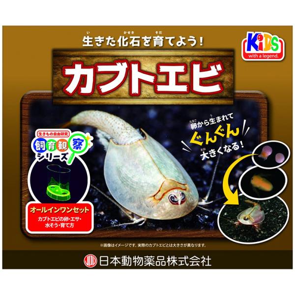 ニチドウ カブトエビ 観察 飼育キット 孵化 成長 水槽用 昆虫 アクアリウム用品カブトエビの卵と飼育に必要な道具がセットになった飼育観察セット。【特徴】●卵を水に入れると1〜5日で孵化する●約1ヶ月で3センチくらいの大きさに成長する●水槽...