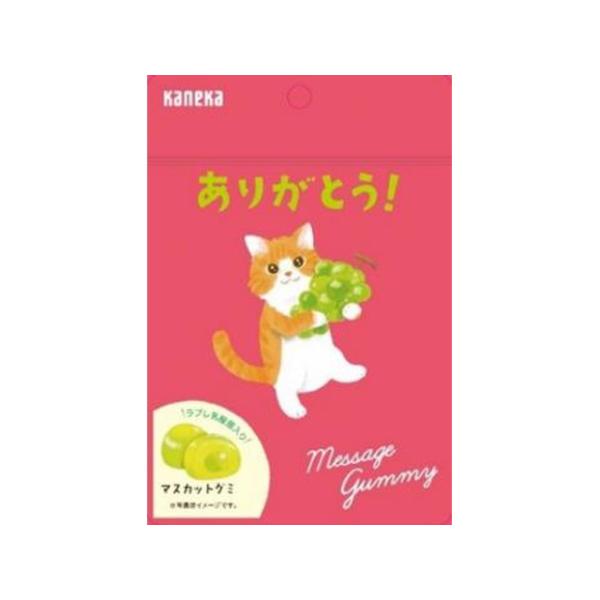 【発売日：2025年12月09日】「ありがとう」を伝えるメッセージグミ。日頃の感謝を伝えてみませんか？ 「ありがとう」を伝えるメッセージグミ。 マスカット味。ラブレ乳酸菌24億個配合。