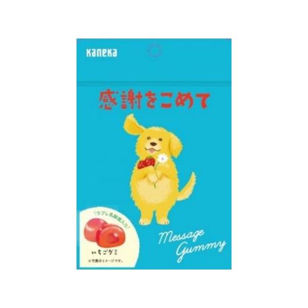 【発売日：2025年12月09日】「感謝をこめて」メッセージグミ。日頃の感謝を伝えてみませんか？ 「感謝をこめて」メッセージグミ。いちご味。ラブレ乳酸菌24億個配合。