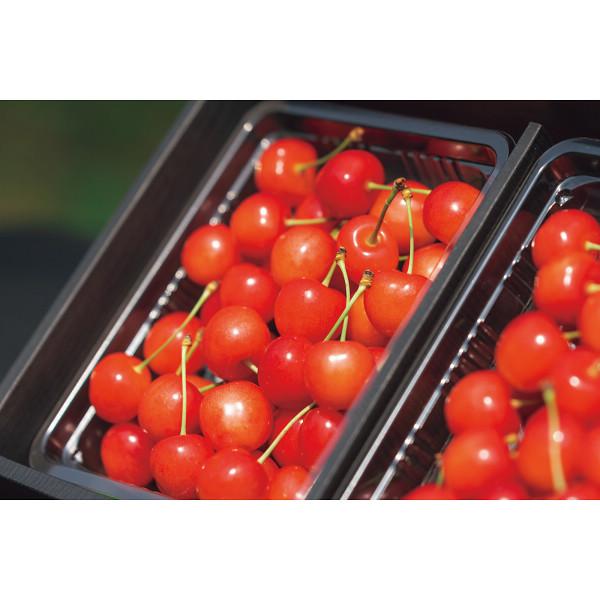 山形県産さくらんぼ　Ｌサイズ以上　６００ｇ　※「佐藤錦」（秀品）終了後、「紅秀峰」へ品種変更。品種指定不可。■ 内祝い・贈り物 にお歳暮 御歳暮 帰省土産 ギフト お礼 お返し お年賀 御年賀 年始挨拶 お見舞い 結婚 ウェディング ブライ...