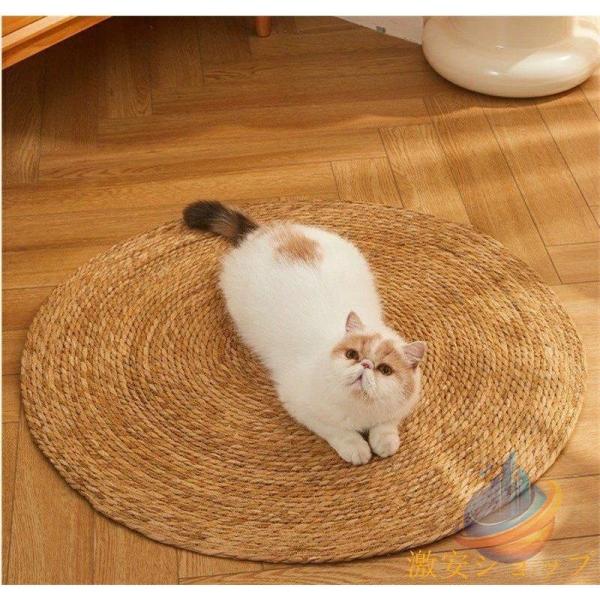 優れた素材で織られたこの傷防止パッドは非常に耐久性があり、猫が長時間爪を引っ掻いても大丈夫です。   猫のストレスや運動不足を解消できるだけでなく、猫がうつ病を解消するのにも役立ちます。犬猫の夏用スリーピングパッドとしても最適です、冷感 ひ...