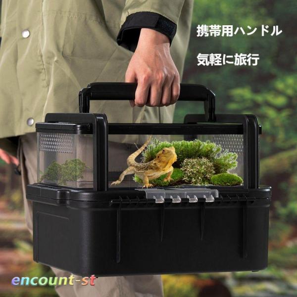 屋外の野生の収穫の爬虫類の箱の輸送のペット用品の外の脱出防止の爬虫類のペット供給箱の植物の標本のコレクションのおり?格 ?(38cm) ?(31cm) 高(15cm) 重量(2100g)