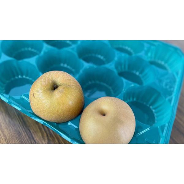 弊社に長く在庫をしていた商品です。在庫限りですのでサービス価格でご提供します。赤字商品なので、運賃はご負担ください。**************************商品サイズ　430X360ｍｍ　5ｋ用サイズです。***********...