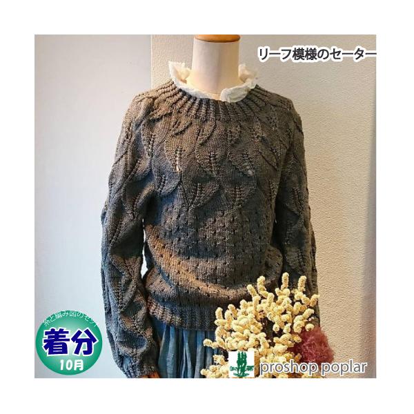 ※カラー選択有りセット内容明細パ)プリンセスアニー519-9玉(定価（本体価格）630円))セット価格（本体価格）　￥5670作品No/編み図No205-40141206サイズ：胸囲88cm　着丈51.5cm　ゆき丈77.5cmゲージ：模様...