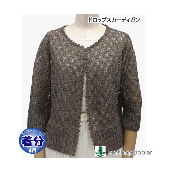 ※カラー選択有り糸見本をご参考にご希望のカラーを選択してくださいセット内容明細パ)アラビス1119-6玉(定価（本体価格）1000円))セット価格（本体価格）　￥6000作品No/編み図No205-40217202サイズ：胸囲92cm　着丈...