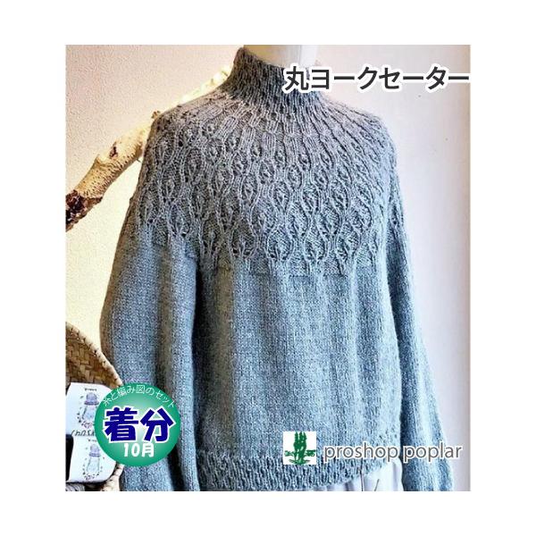 ※カラー選択有り糸見本をご参考にご希望のカラーを選択してくださいセット内容明細パ)チャスカ41-9玉(定価（本体価格）1600円))セット価格（本体価格）　￥14400作品No/編み図No205-40241205サイズ：胸囲92cm　着丈4...