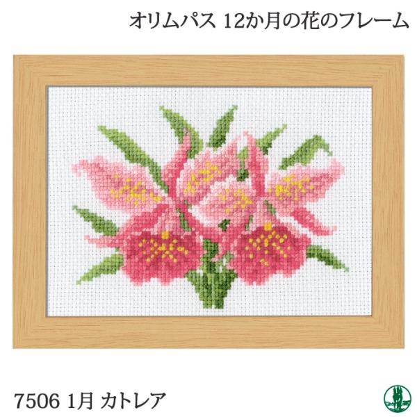 ※カラー選択無【メーカー】オリムパス【商品名】オ)ししゅうキット7506 1月カトレア【重さ】初〜中級者向【長さ（m）】白【使用用具】【適正ゲージ】額外径:約15cm×20cm　額内径:約11.6cm×16.6cm【内容量】　1セット【素材...