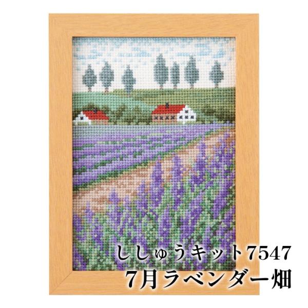※カラー選択無【メーカー】オリムパス製絲【商品名】オ)刺しゅうキット7547 7月ラベンダー畑【商品名】7月ラベンダー畑【デザイン者】【使用用具】縫い糸、縫い針、はさみ、テープ【出来上がりサイズ】額外径：約20cm×15cm　額内径：約16...