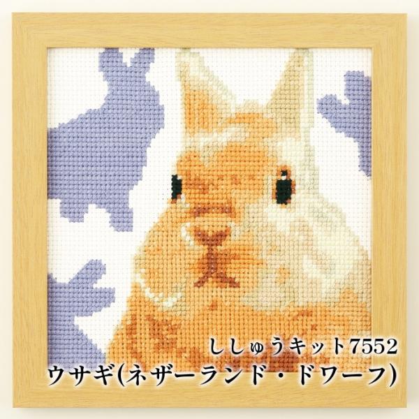 ※カラー選択無【メーカー】オリムパス製絲【商品名】オ)刺しゅうキット7552 ウサギ【商品名】ウサギ(ネザーランド・ドワーフ)【デザイン者】【使用用具】縫い糸、縫い針、はさみ、テープ【出来上がりサイズ】額外径：約24.4cm×24.4cm　...
