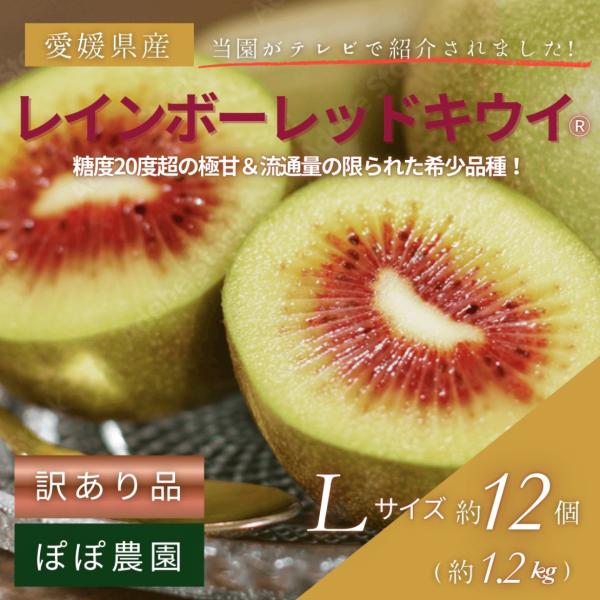 【発売日：2025年10月25日】最高糖度24.5度！圧倒的な甘さから、23年11月にはネプリーグの視聴者プレゼントにも採用いただきました。