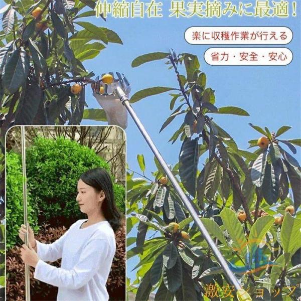 リンゴ、アボカド、オレンジ、プラム、ネクタリン、桃、マンゴー、パパイヤ、梨、レモン、ライム、キウイ、グレープフルーツ、ザクロ、イチジク、アプリコット、柿など！   ピッキング口には複数の凹面の滑らかな歯があります。また、果物のピッカーは耐久...