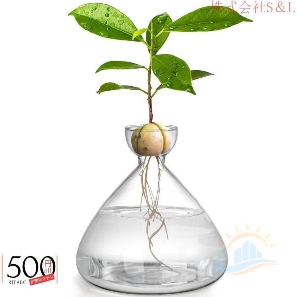 商品によっては発送までに2?3週間かかかることもございます。発送予定日をご了承の上、ご注文いただきますようお願いいたします。【商品概要】【プレミアム素材】: 当社のアボカドスターター花瓶は、厚みのある高ホウケイ酸ガラスでできており、透明で滑...