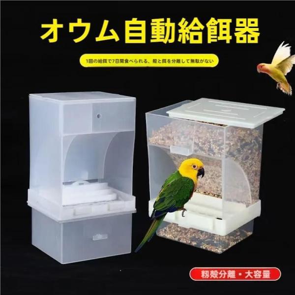 バードフィーダー 鳥 餌入れ 水入れ 自動 小鳥 餌台 食器 インコオウム えさ入れ えさいれ 鳥の餌台 500gの大容量 大容量で、フードがたっぷり入ります。残量も一目で分かるクリアカラーで、長時間のお留守番も安心です。 自動補給で楽々 ...