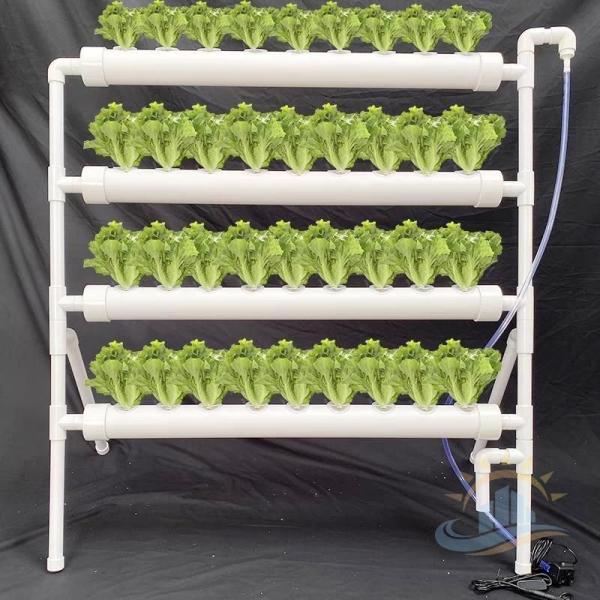 水耕栽培キット すいこう栽培キット いちご 野菜 栽培キット 室内 家庭菜園 水耕栽培セット プランター36穴 (36 穴)