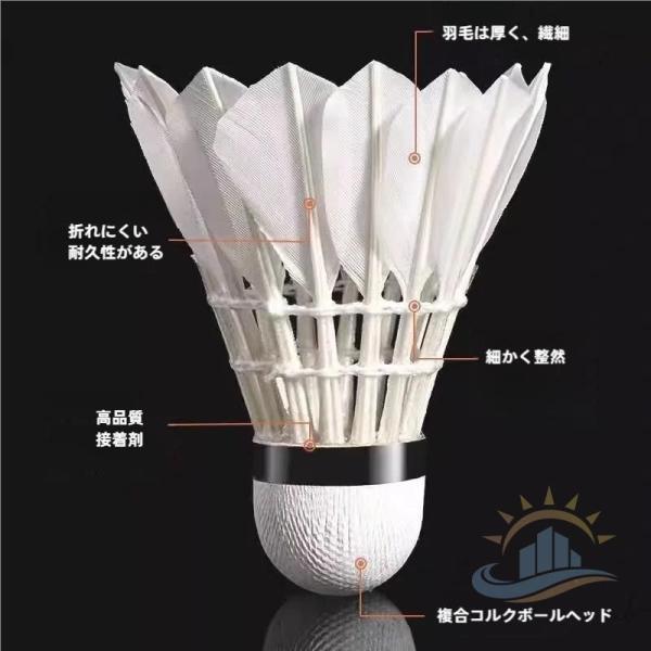 ガチョウ羽根はアヒル羽根より耐久性に優れており、1ダース（12個入り）でコストパフォーマンスがよいです -こんな方にオススメ良いシャトルなのでとにかくたくさん練習したい方に！シャトルを打つ感覚を身付ける初のシャトルとして！基礎打ちやノック練...