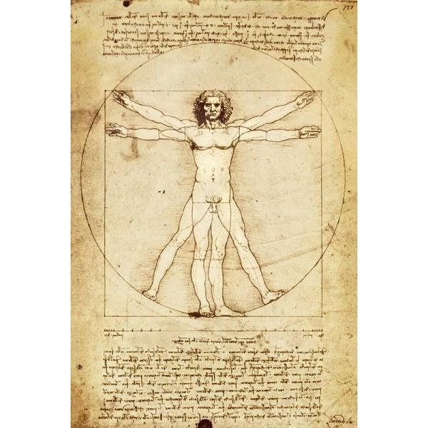 【発売日：2018年05月14日】ポスター：ウィトルウィウス的人体図　レオナルド・ダ・ヴィンチサイズ：91.5×61cmフレーム(額)：木製素材　　※ブラック・ナチュラル・ホワイトウッド・スルーホワイトからお選び頂けます。補足：軽くて頑丈な...