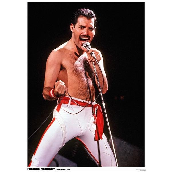 【発売日：2017年07月07日】ポスター：Freddie Mercury　フレディ・マーキュリー　クイーン　ロサンジェルス1982サイズ：84.1×59.4cmフレーム(額)：アルミ素材　※黒・銀・金・白からお選び頂けます。補足：軽くて頑...